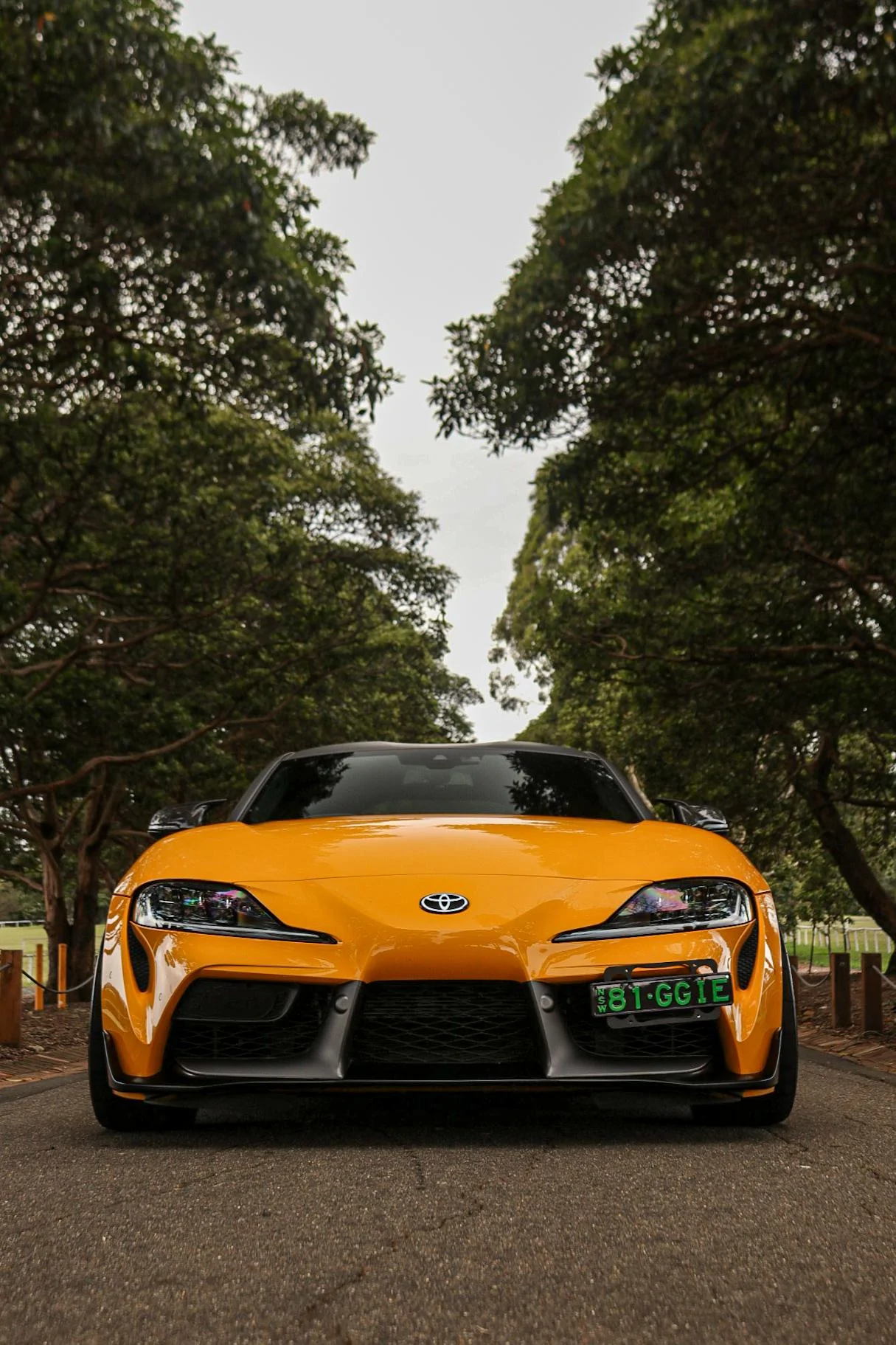 Big Bird Yellow Circuit/Track Supra from Sydney | SupraMKV - 2020 ...